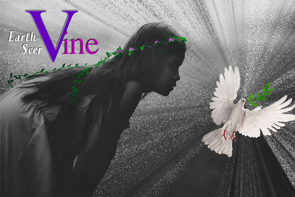 Accurate Australian Psychic Readings by Vine Psychic