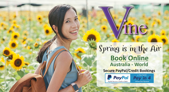 Accurate Australian Psychic Readings by Vine Psychic